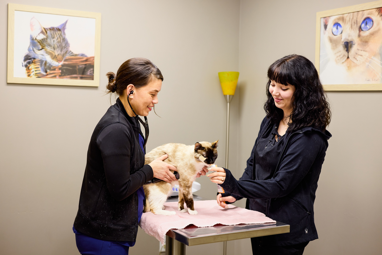Veterinarian in Downingtown, PA - Animal Hospital at Thorndale