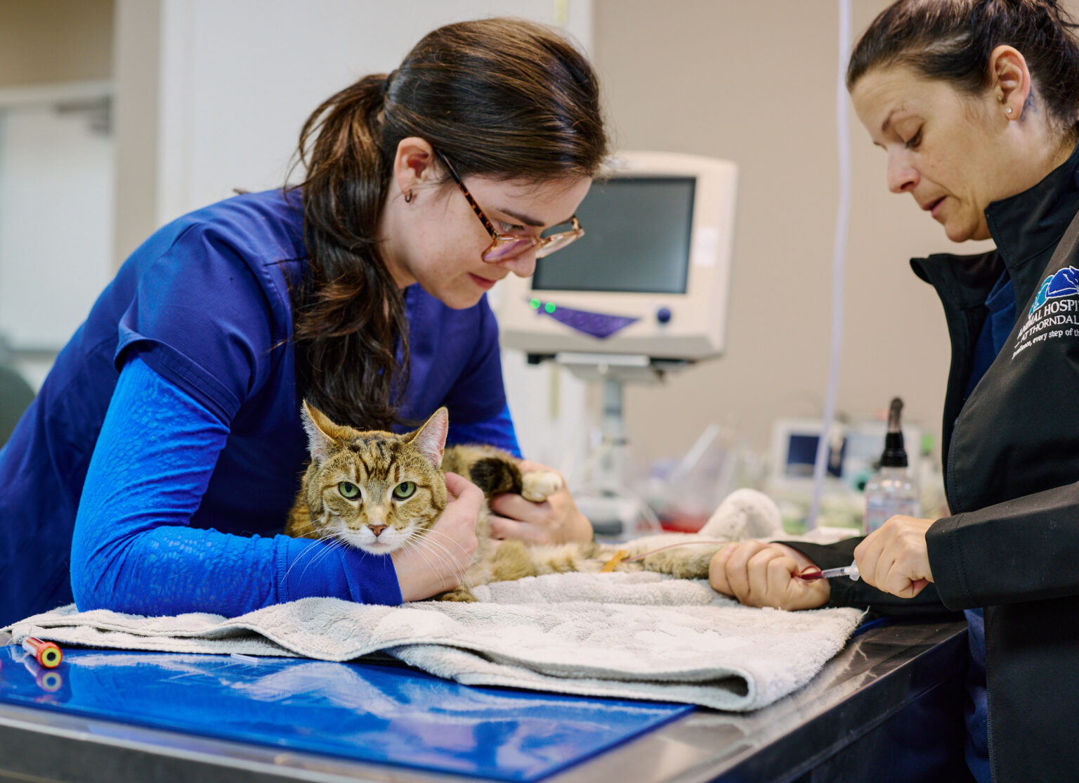 Pet Parents in Downingtown, PA - Animal Hospital at Thorndale